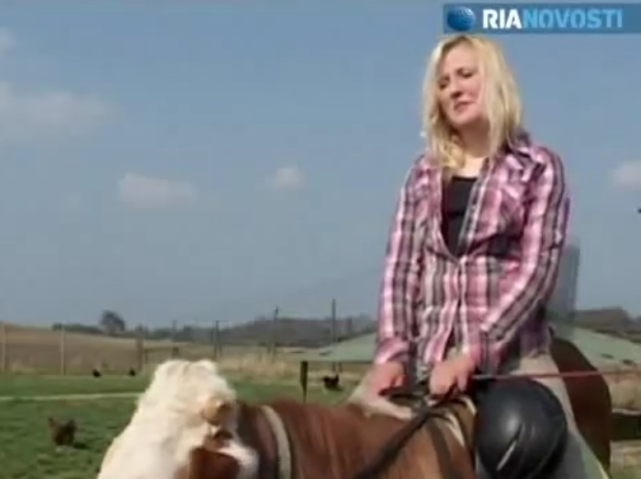 Garota alemã adestra vaca para montá-la como um cavalo; assista ao ...